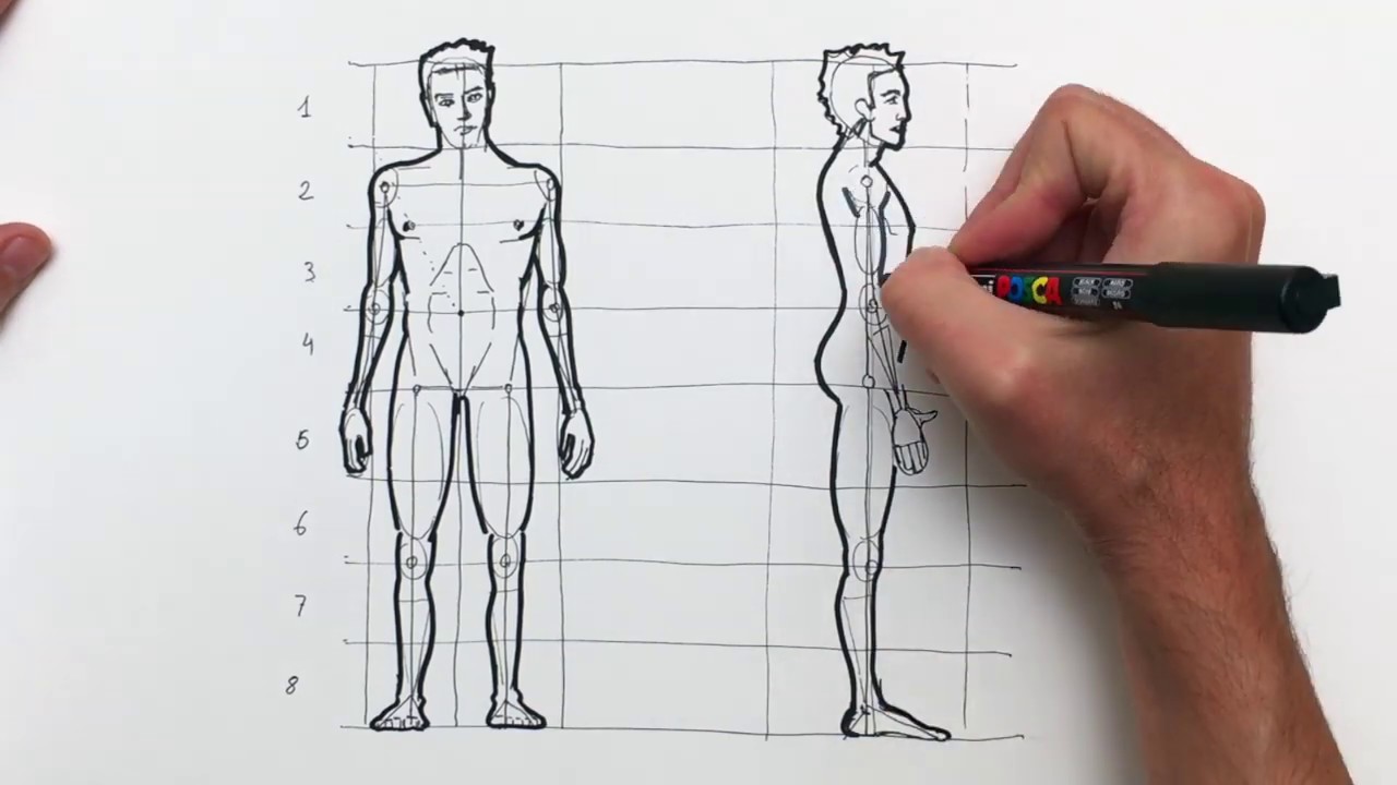 Como dibujar la figura humana paso a paso: El cuerpo del hombre y sus proporciones.