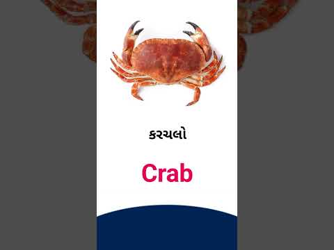 Crab meaning in Gujarati - English Dictionary