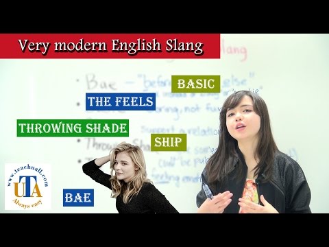 Modern English slang / Funny English slang / bae / basic / ship / throwing shade / the feels