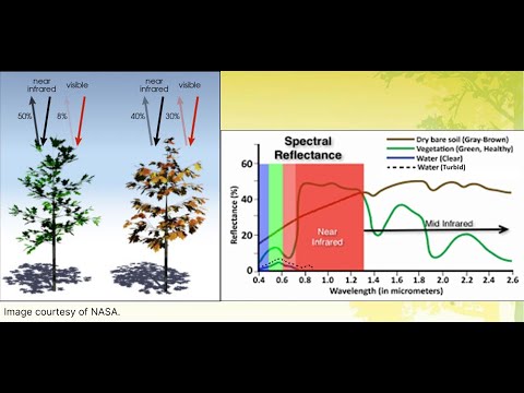 Normalized Difference Vegetation Index (NDVI)_PPT