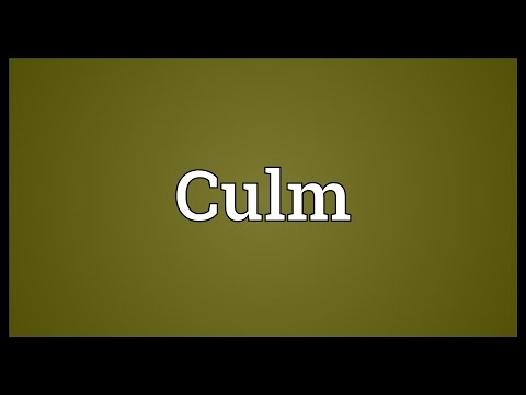 Culm Meaning