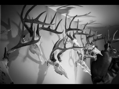 DIY European Mount Hangers