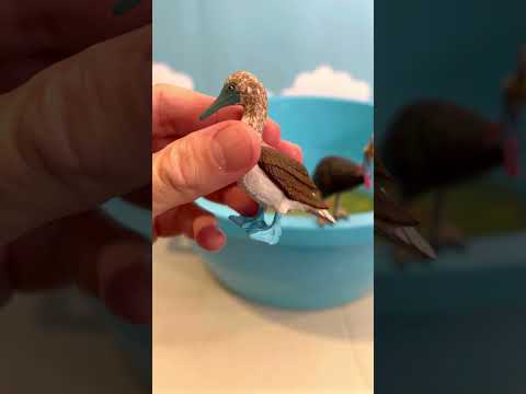 Bird Names for Kids to Learn