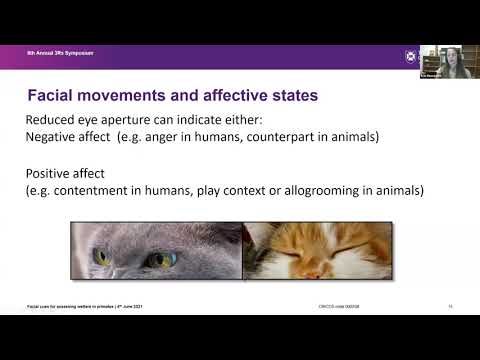 Facial Cues for Assessing Welfare in Primates