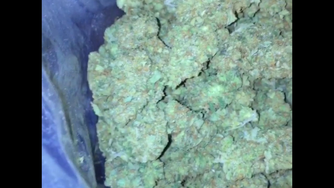 Original sour diesel @strainhuntermcr