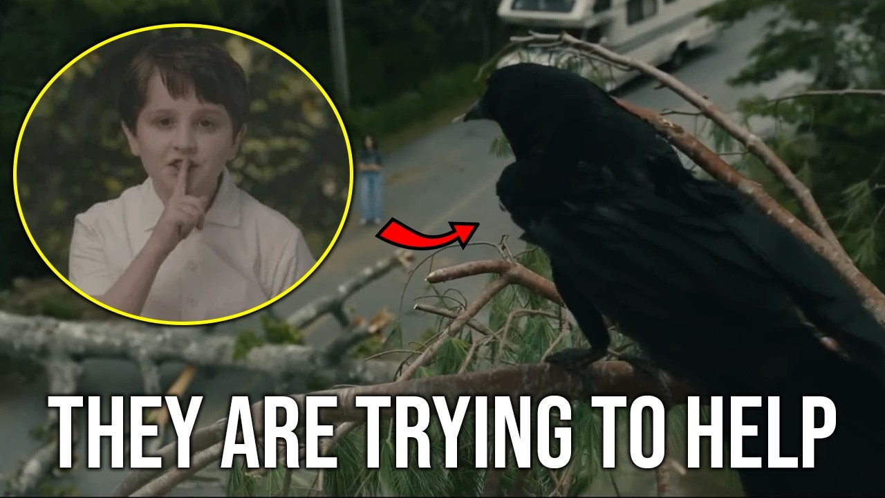 This Theory Changes Everything About From… The Crows Were Right