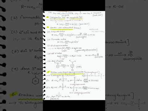 Amines notes/pdf in description class 12 organic chemistry @notesville