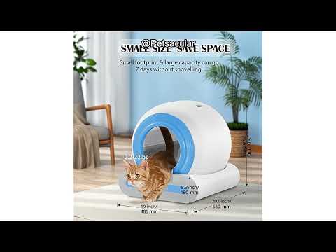 2025 Advanced Self-Cleaning Cat Litter Box Review: Worth the Investment for Multi-Cat Homes?