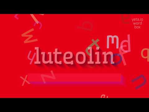 LUTEOLIN - How to pronounce Luteolin?