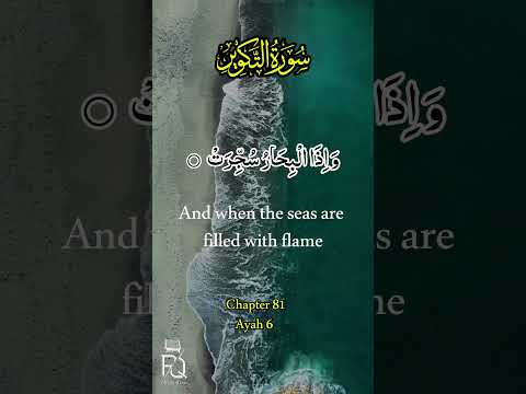 Surah Takwir Ayat 1-9 | Beautiful Recitation | #Quran #surahtakwir