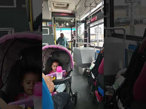disputes on the CTA bus