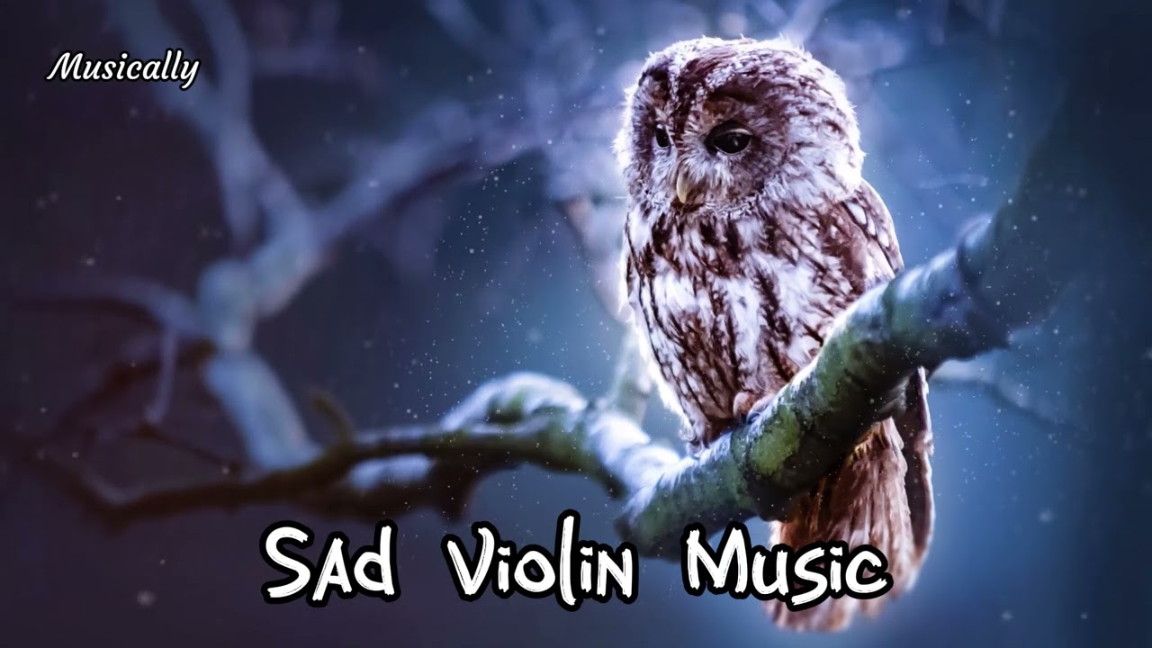 1 Hour Sad Violin Music | Piano & Violin | No Copyright Music | Sad Music / Musically ♪