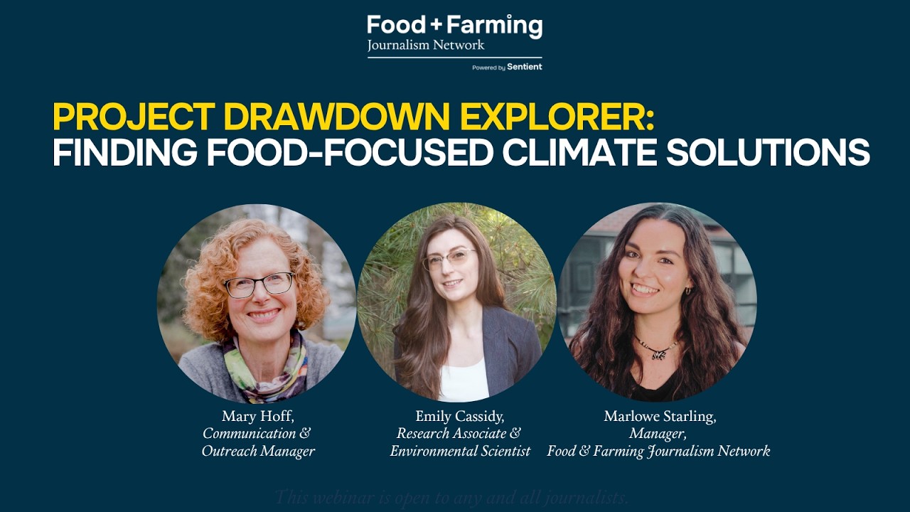 Project Drawdown Explorer: Finding Food-Focused Climate Solutions