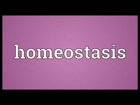 Homeostasis Meaning