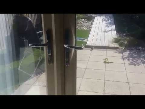 French Doors Won't Lock - What To Do?? Video 1 of 2...