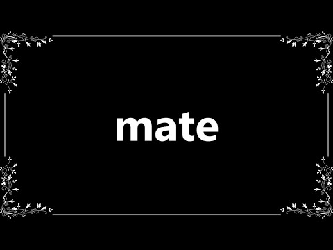Mate - Meaning and How To Pronounce