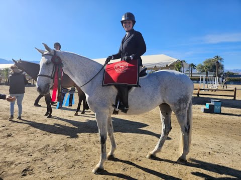 Winning Handy Hunter round with Ladybug |March 2024|| We LOVE Handy rounds so much
