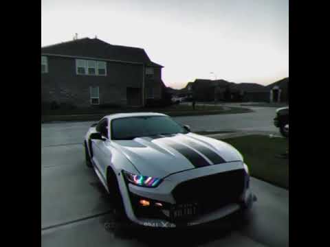 new π₯Ίπ malayali mustang sold