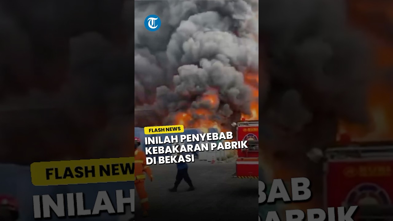Tragedi Kebakaran Pabrik Pakan Ternak di Bekasi, 9 Karyawan Tewas Diduga Terjebak - Tribun Video