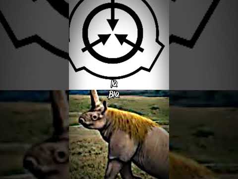 Magdeburg unicorn vs scp universe #unicorns#scp#scpfoundation#magdeburg#unicorn ignore the hashtags