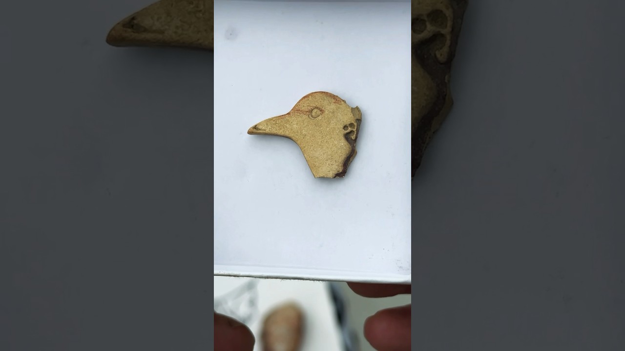 Paleo Artifacts: Original American.