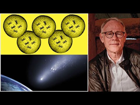 Human DNA Could Not Evolve on Earth #podcast #grahamhancock #science #history #ancient #evolution