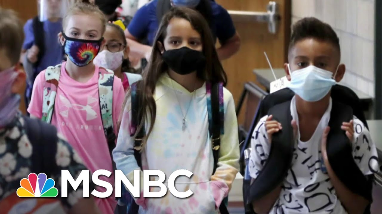 Mayor De Blasio: NYC Schools Delay Start Until September 21 | Craig Melvin | MSNBC