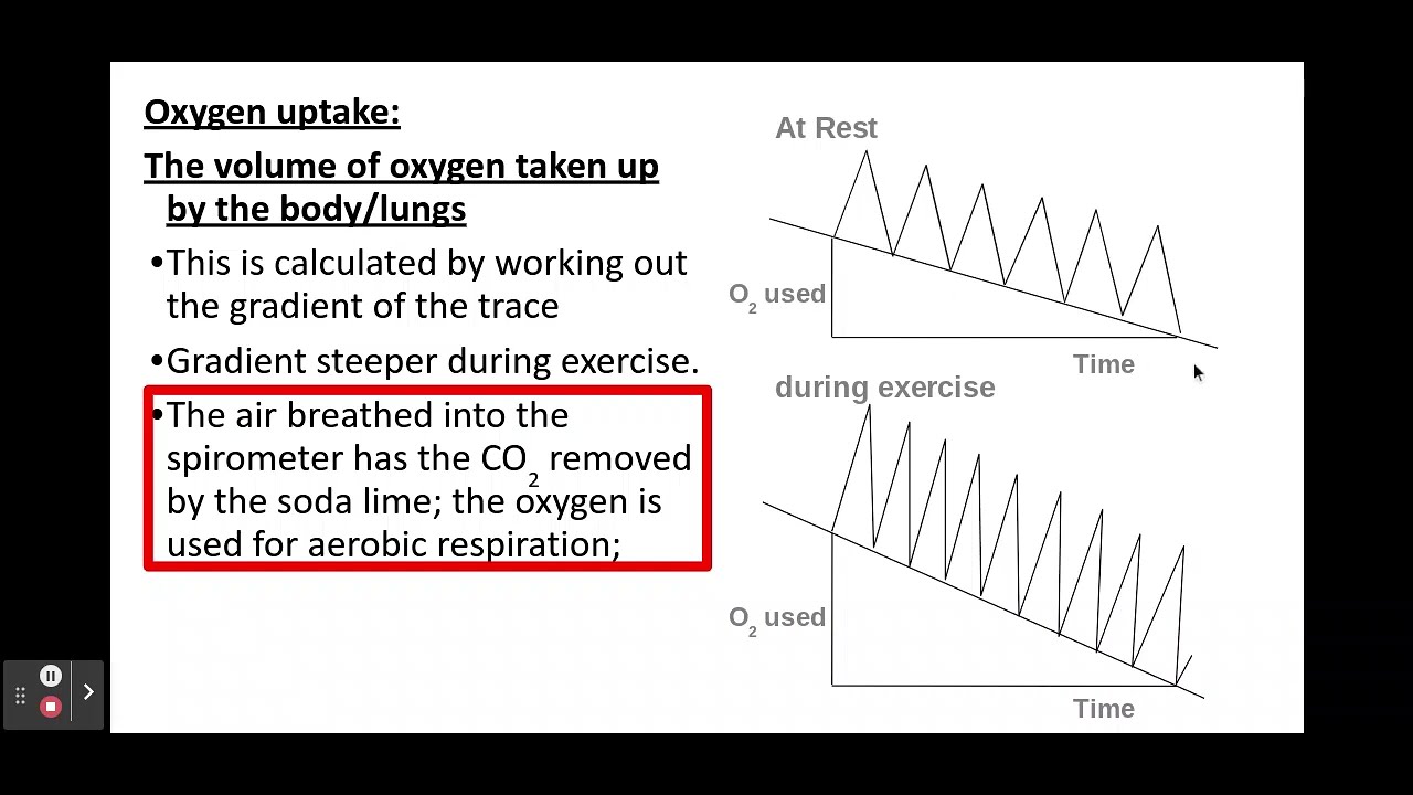 3.1.1 Exchange Surfaces e) Spirometer