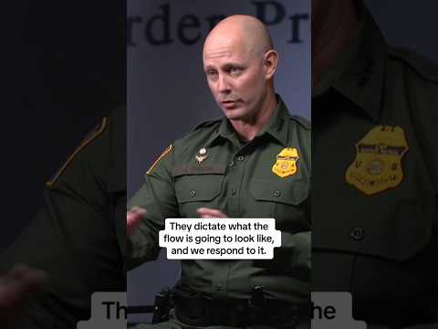 U.S. Border Patrol chief on cartel influence, impact on flow of migrants into U.S. #shorts