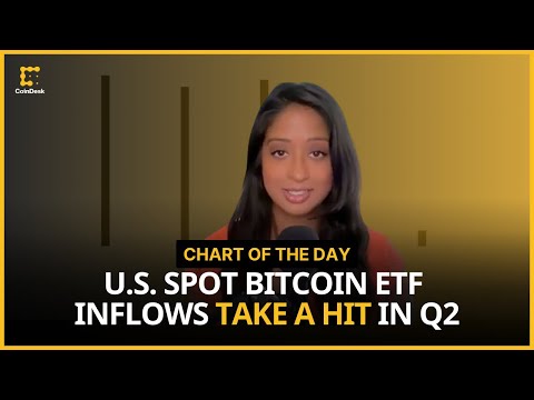 U.S. Spot Bitcoin ETF Flows Drop in Q2: Kaiko | Chart of the Day