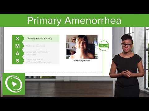 Primary Amenorrhea: Causes & Menstrual Cycles – Gynecology | Lecturio