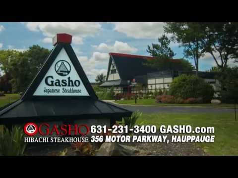 GASHO HAUPPAUGE 30 TV MASTER