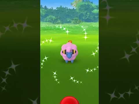 Shiny Pink Mareep! ✨ #pokemon #pokemongo #shinypokemon #shorts #music #shiny