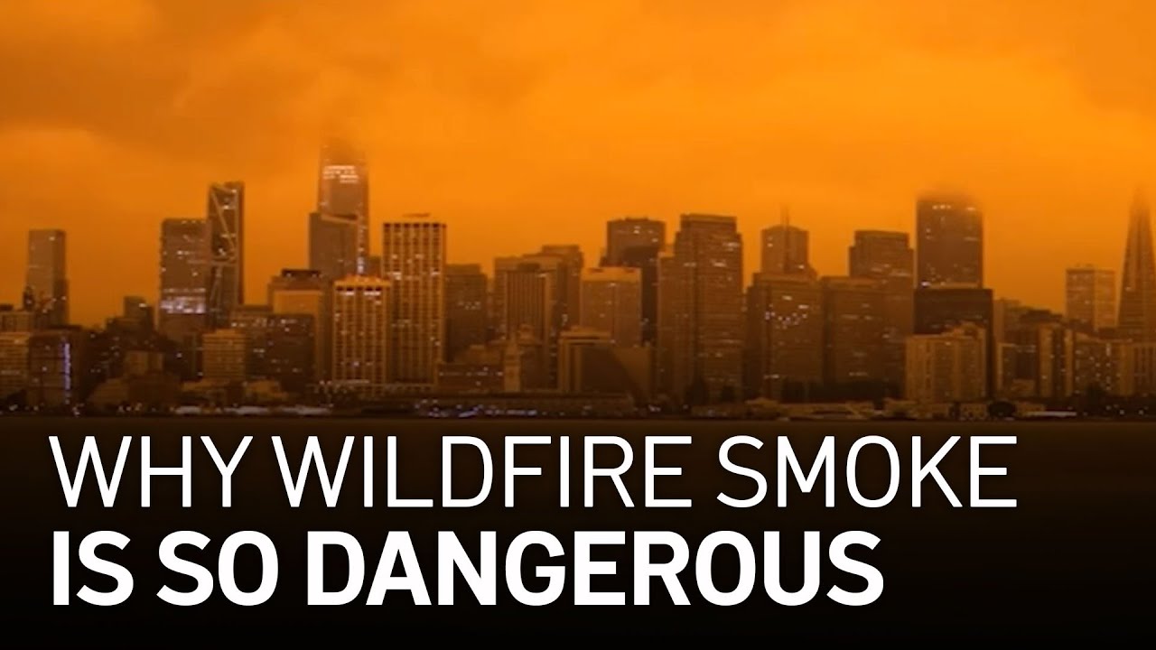 Why Wildfire Pollution Is So Dangerous