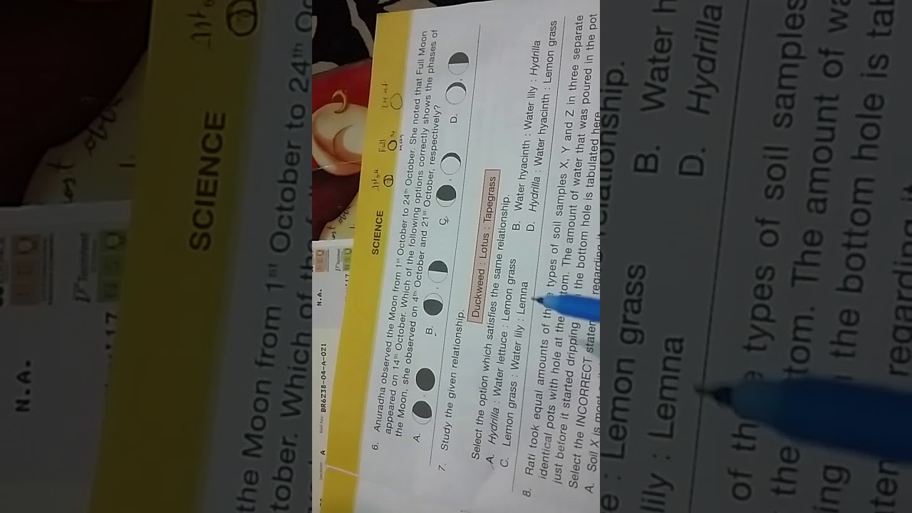 NSO solve paper class 4 of 2018