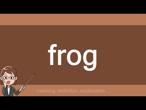 frog