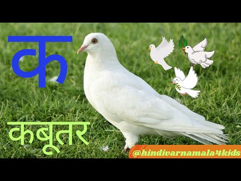 "Hindi Varnamala | हिंदी वर्णमाला सीखें | A Se Anar, AA Se Aam | Hindi Alphabet Learning for Kids"