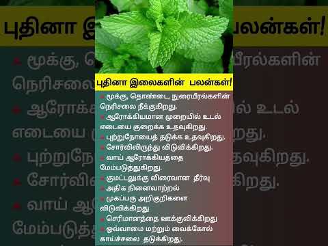 புதினா இலைகளின் நன்மைகள் ¦ benefits of Mint Leaves in Tamil