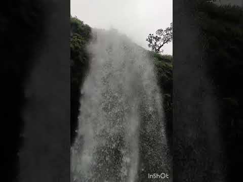rhymes kides ##waterfall