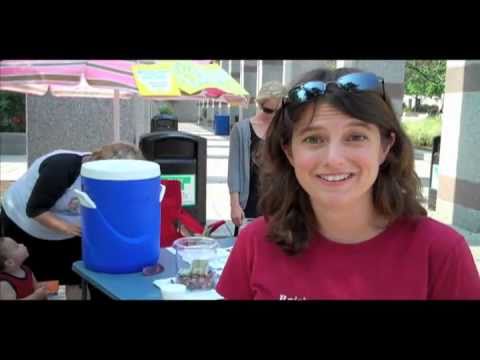 A Lemonade Stand for the N.C. Budget