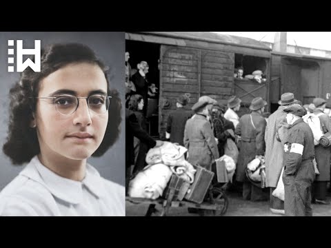 Life in the Secret Annex during German Occupation & death of Margot Frank /Auschwitz & Bergen Belsen