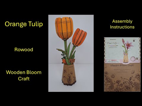 Flower - Orange Tulip from Rowood, Wooden Bloom Craft TW081