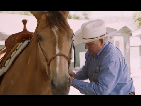 Saddle Up: Premiering the Rancho Mission Viejo 2020 Rodeo Movie