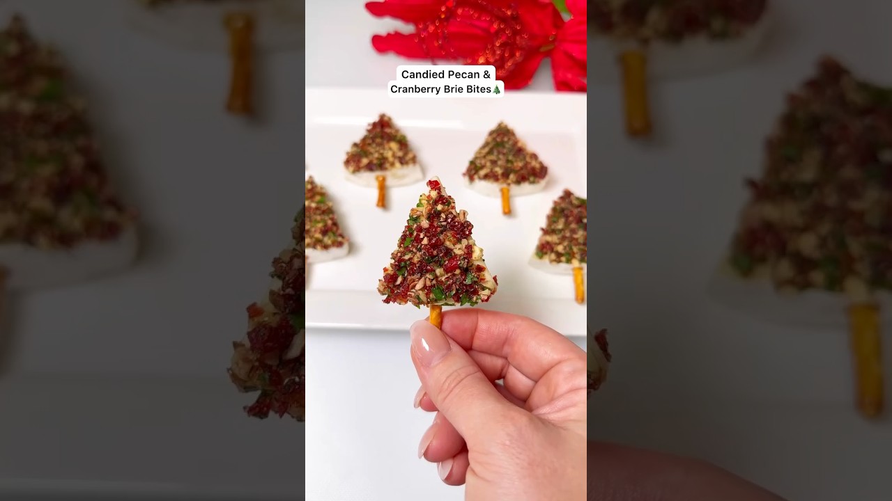 Bethlehem Bites: Candied Pecan & Cranberry Brie Christmas Tree #dessert #recipe #cooking