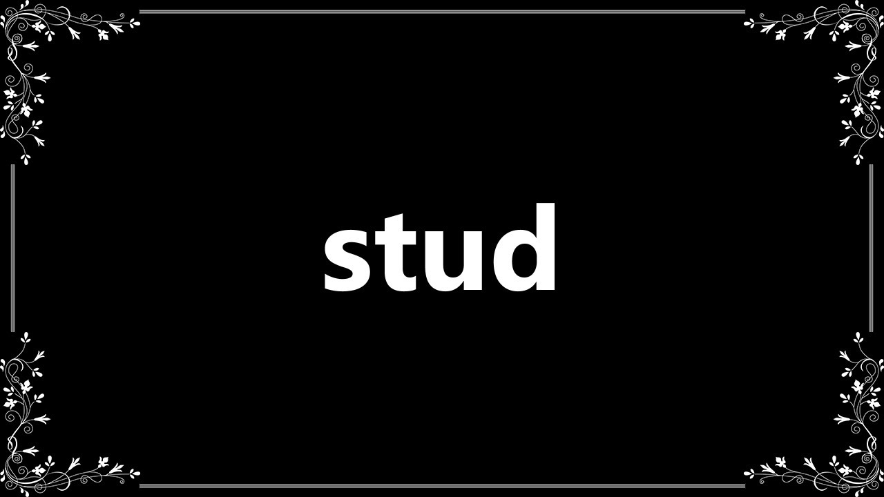 Stud - Definition and How To Pronounce