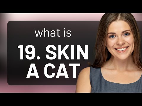 English Idioms Unveiled: "More Than One Way to Skin a Cat"