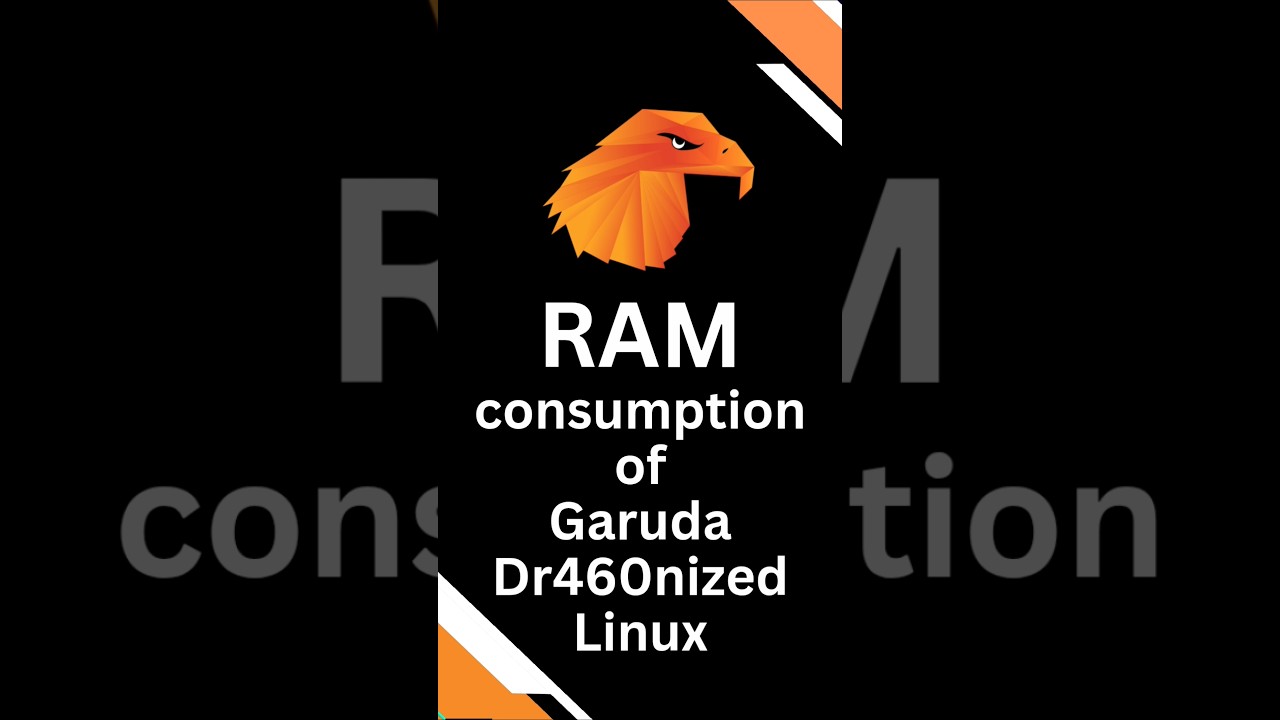 RAM usage of Garuda Dr460nized edition #linux #garuda #ram