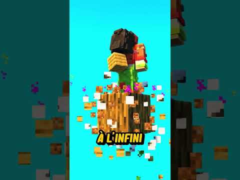 Le meilleur Serveur Minecraft gratuit entre amis