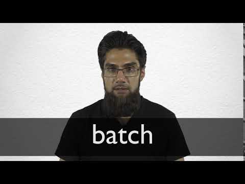BATCH definition and meaning | Collins English Dictionary