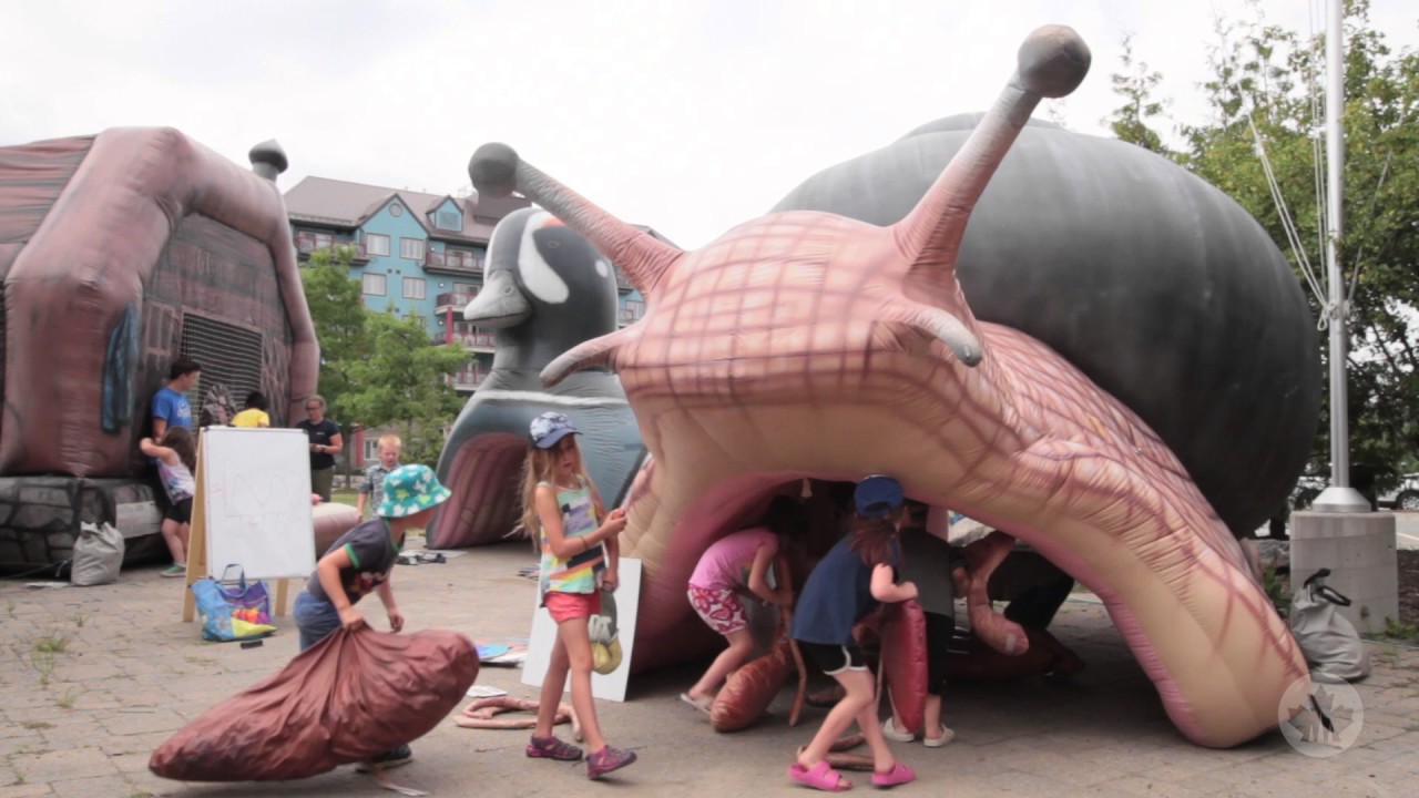 PromoScience: Elephant Thoughts Educational Outreach